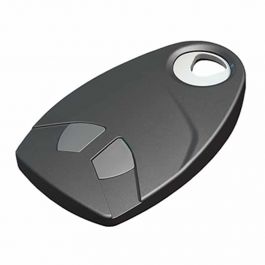 Intratone hand transmitter | 2 Channel | Remote Control | Black ...